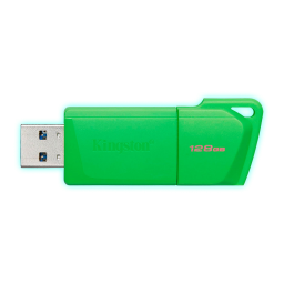 PENDRIVE 128GB USB 3.2 KINGSTON DATATRAVELER EXODIA/VERDE FLUOR/KC ...